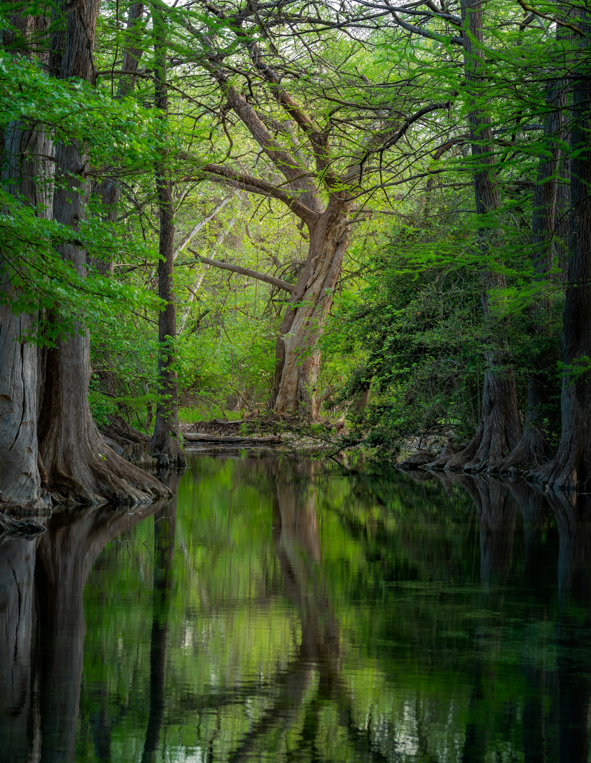 LASIK Eye Surgery in Silsbee, Texas